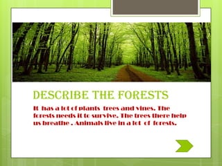 Forests | PPTX