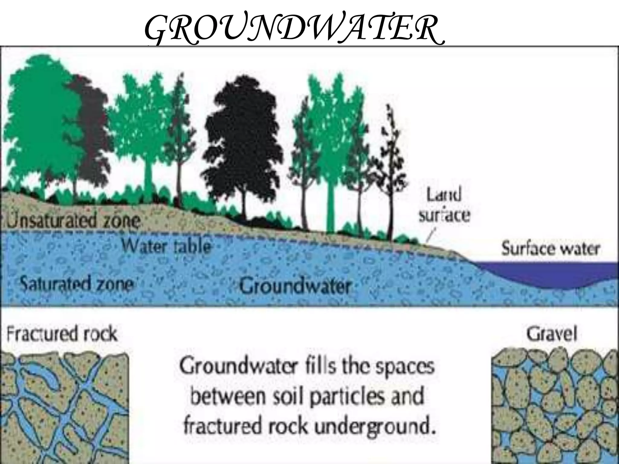 Forest, Our Lifeline | PPTX