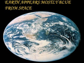 Forest, Our Lifeline | PPTX