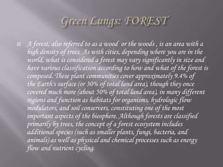 Forest, Our Lifeline | PPTX