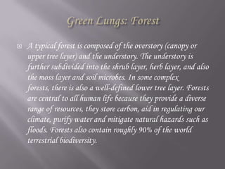 Forest, Our Lifeline | PPTX