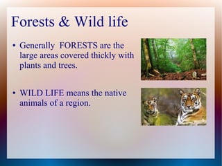 Forest | PPT
