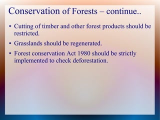 Forest | PDF