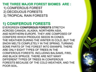 Forest | PPTX