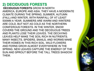 Forest | PPTX