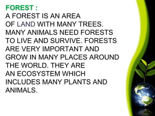 Forest | PPTX
