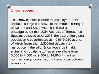 Forest And Wildlife | PPTX