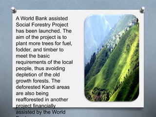 Forest And Wildlife | PPTX