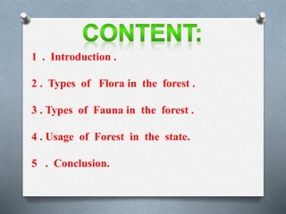 Forest And Wildlife | PPT