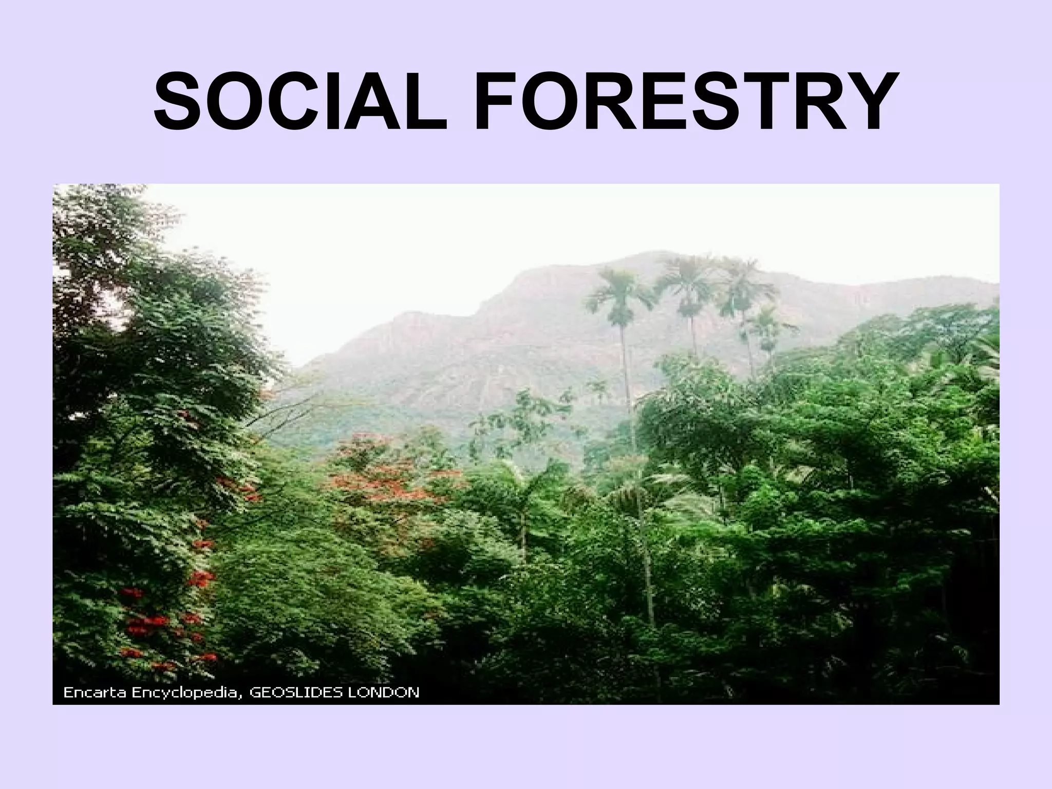 17. Forests- Our Lifeline by Dilip Kumar Chandra | PPT