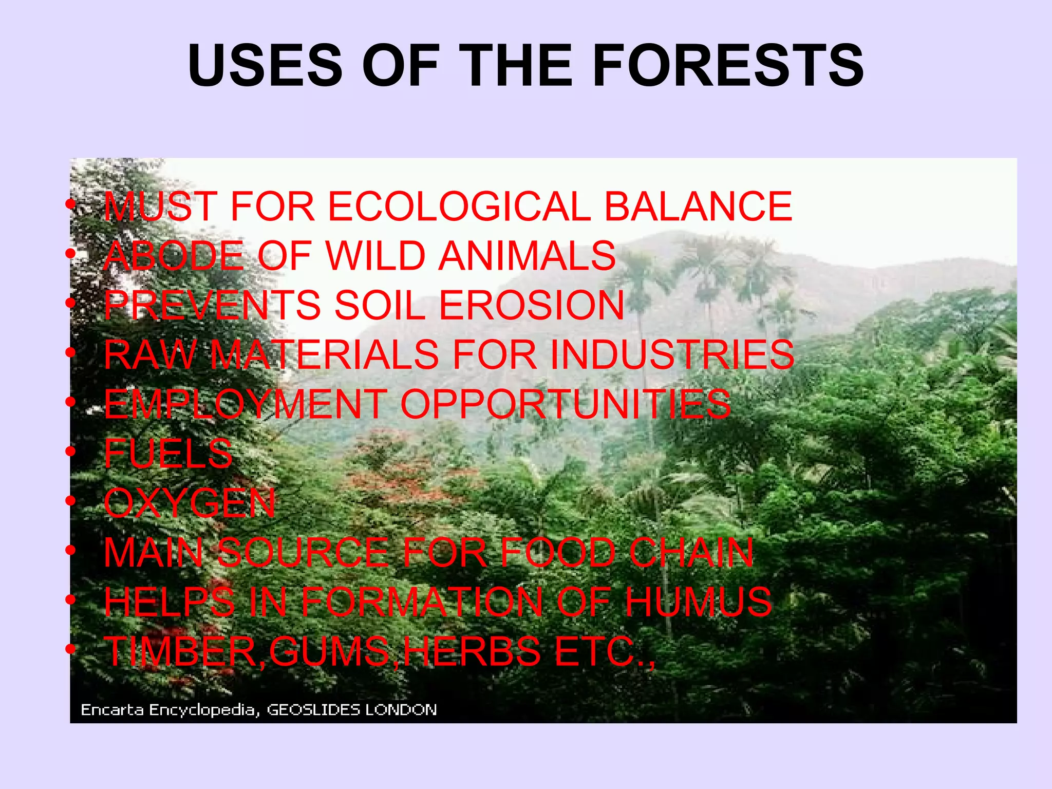 17. Forests- Our Lifeline by Dilip Kumar Chandra | PPT