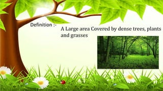 Forest | PPTX