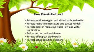Forest | PPTX