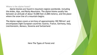 Forest.pdf