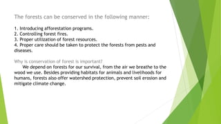 Forest.pdf