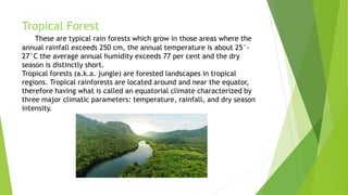 Forest.pdf
