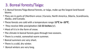 The Forest Ecosystem of our Earth planet | PPTX