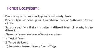 The Forest Ecosystem of our Earth planet | PPTX