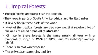 The Forest Ecosystem of our Earth planet | PPTX