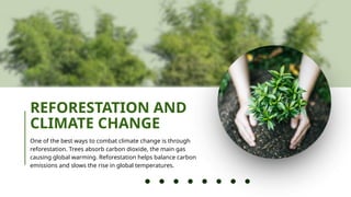 Forest reforestation and deforestation .pptx