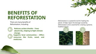 Forest reforestation and deforestation .pptx