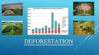 Forest & Wildlife Resources - Class X Geography | PDF