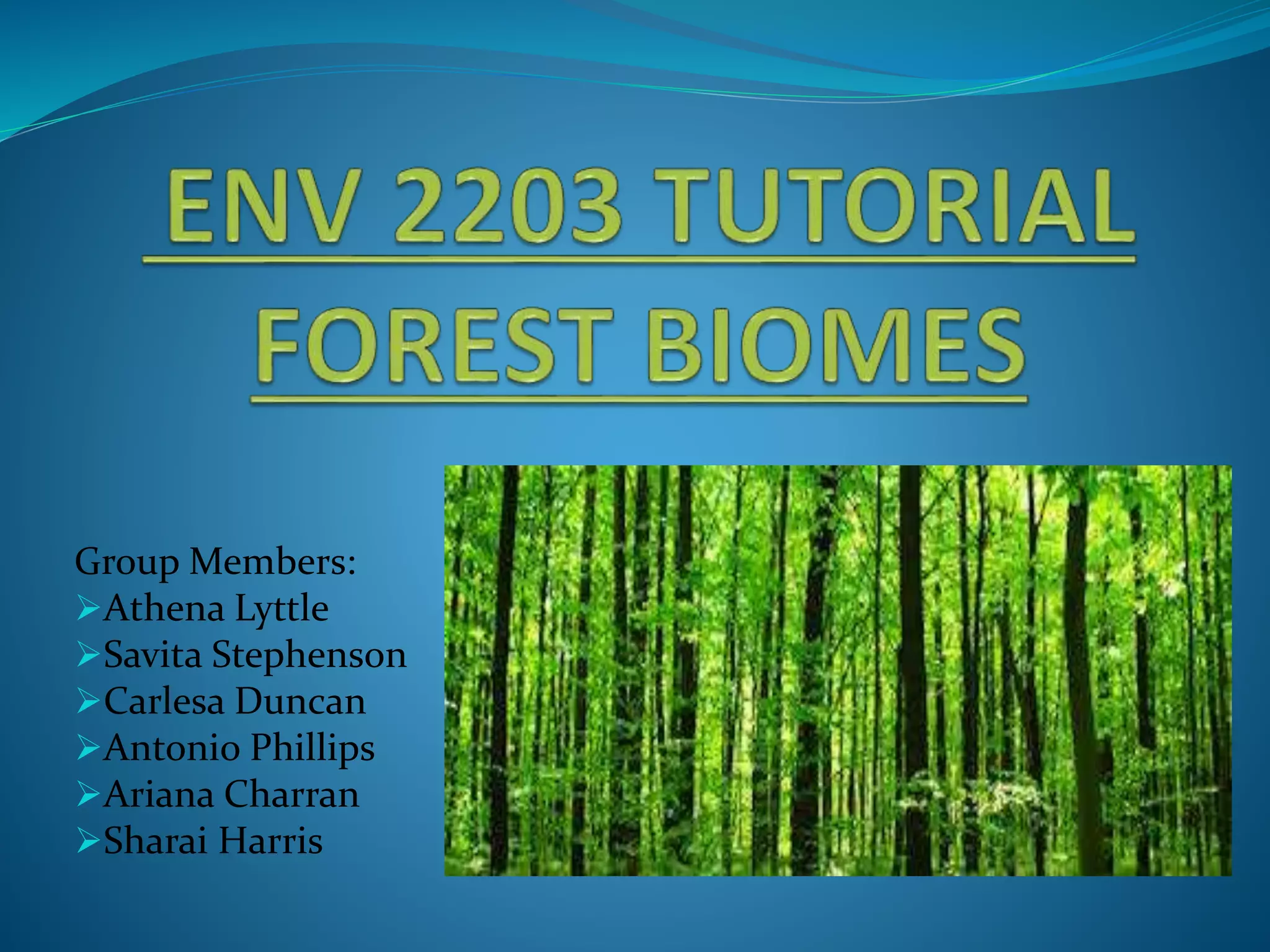 Forest biomes , a college tutorial | PPT