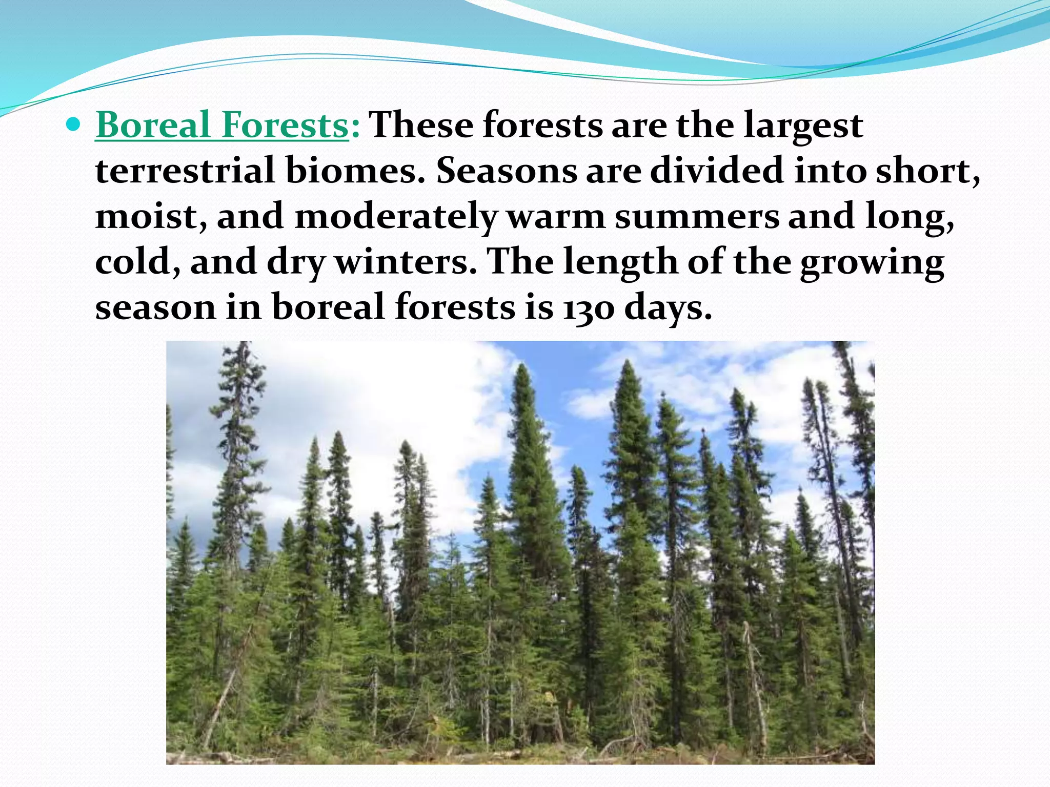 Forest biomes , a college tutorial | PPTX