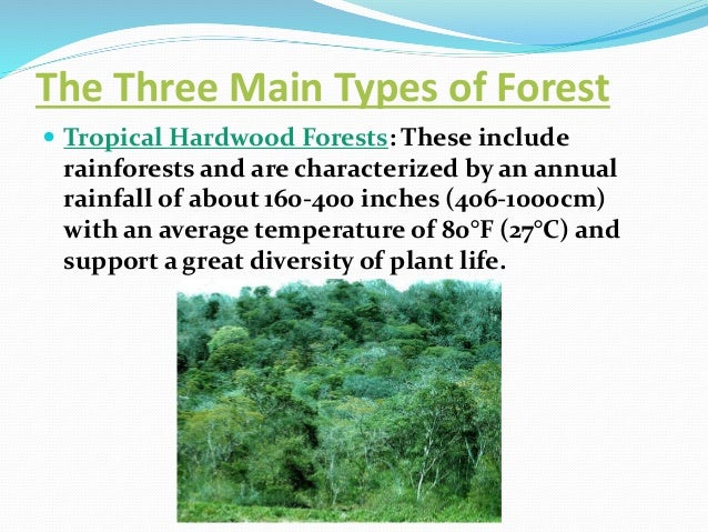 Forest biomes , a college tutorial