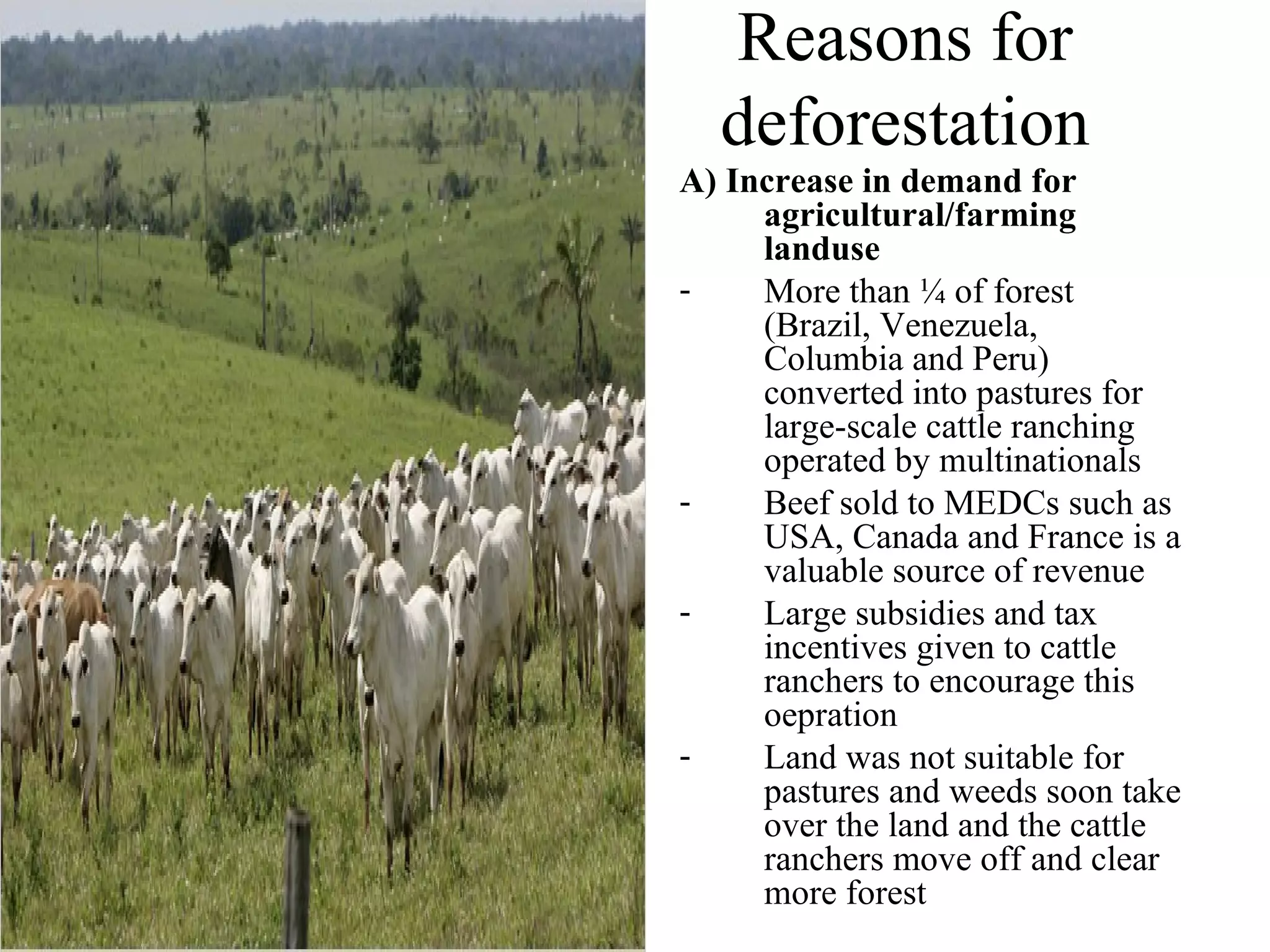 Forest Destruction Lesson | PPT | Agriculture | Industries