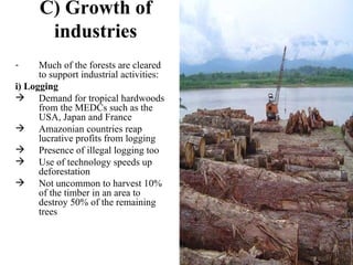 Forest Destruction Lesson | PPT | Agriculture | Industries
