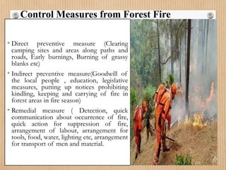 Forest disturbance | PPTX