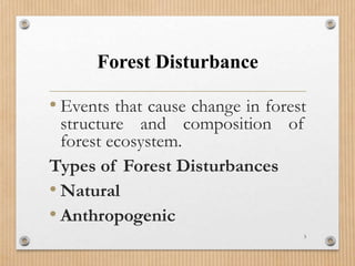 Forest disturbance | PPTX