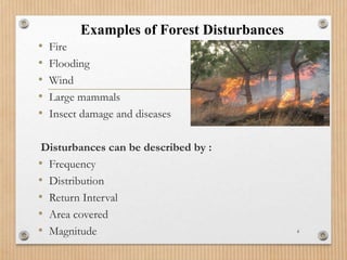 Forest disturbance | PPTX