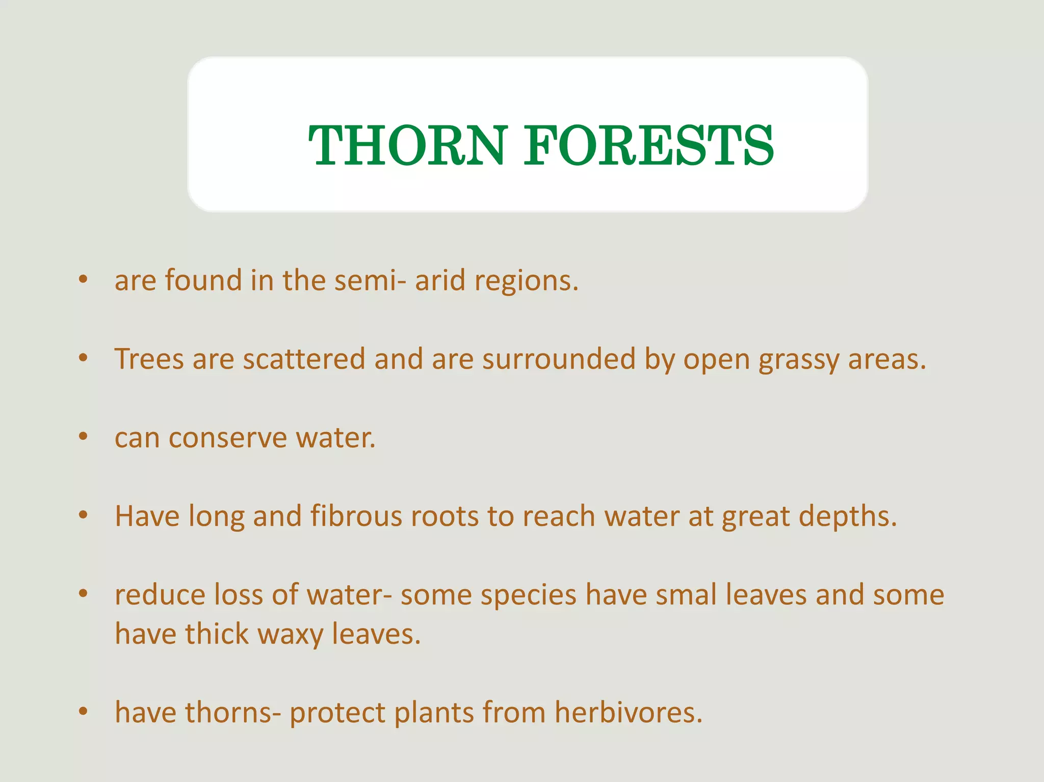 forest-ecosystem-37818899.pptx