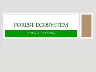 forest-ecosystem-37818899.pptx