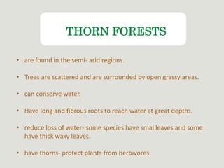 forest-ecosystem-37818899.pptx