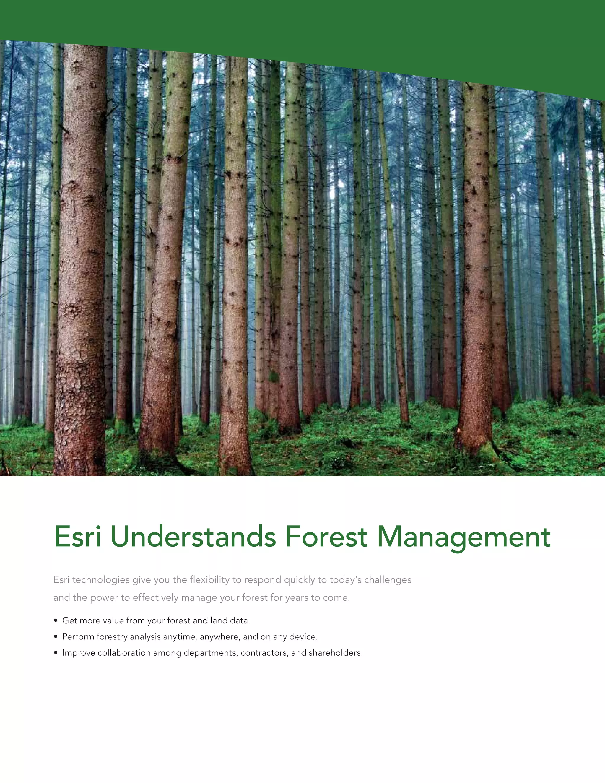 Forest Management with Esri | PDF