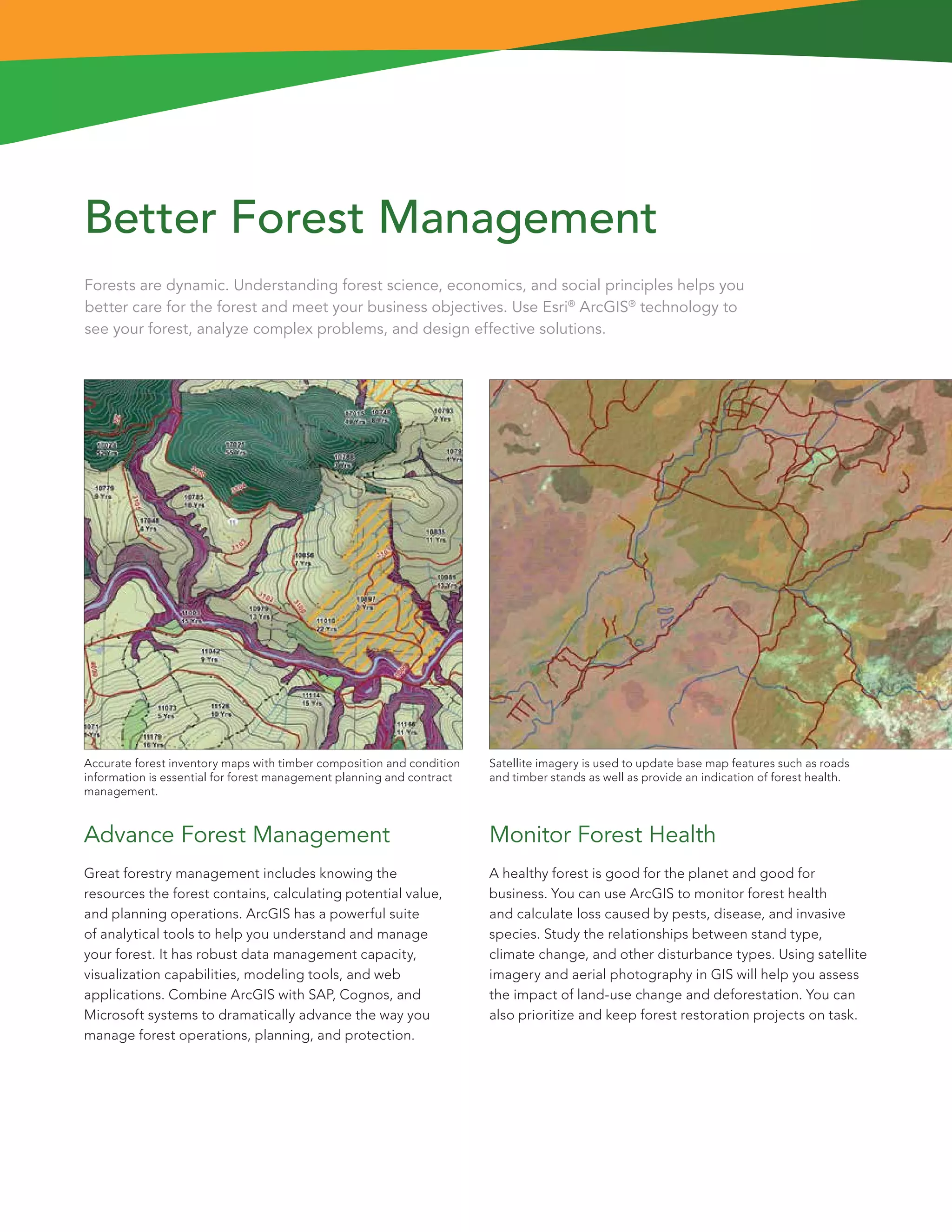 Forest Management with Esri | PDF