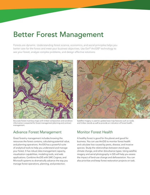 Forest Management with Esri | PDF | Agriculture | Industries