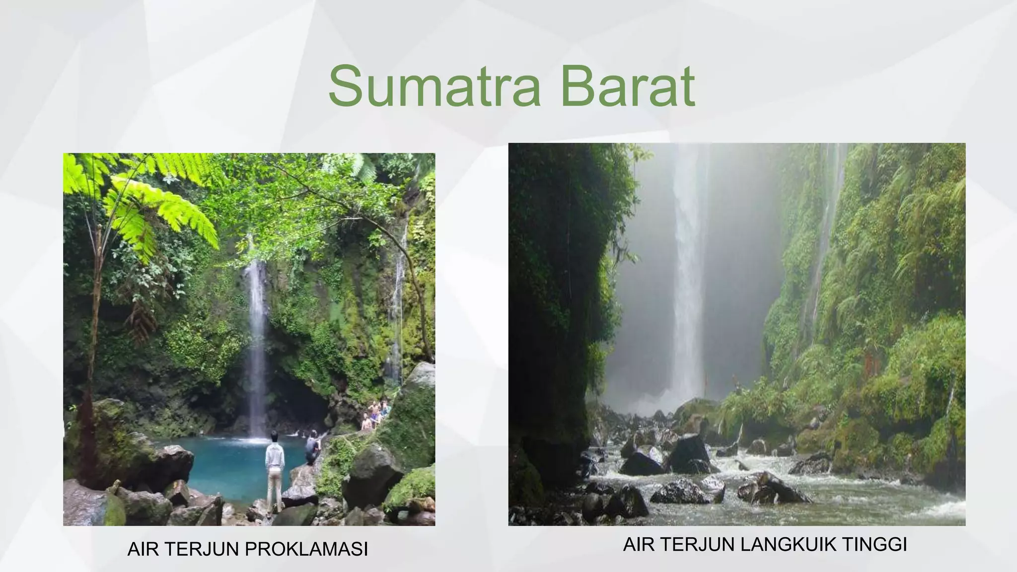 forest-powerpoint-template.pptx