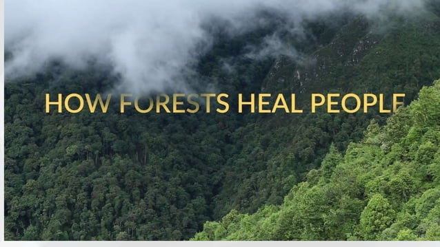 forest-powerpoint-template (1).pptx