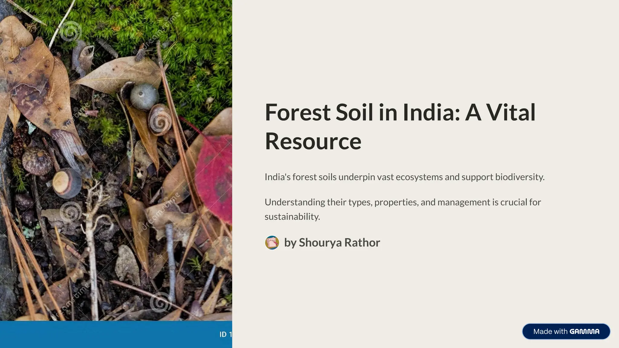 Forest-Soil-in-India-A-Vital-Resource.pdf