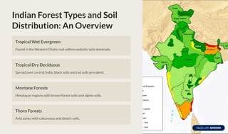 Forest-Soil-in-India-A-Vital-Resource.pdf