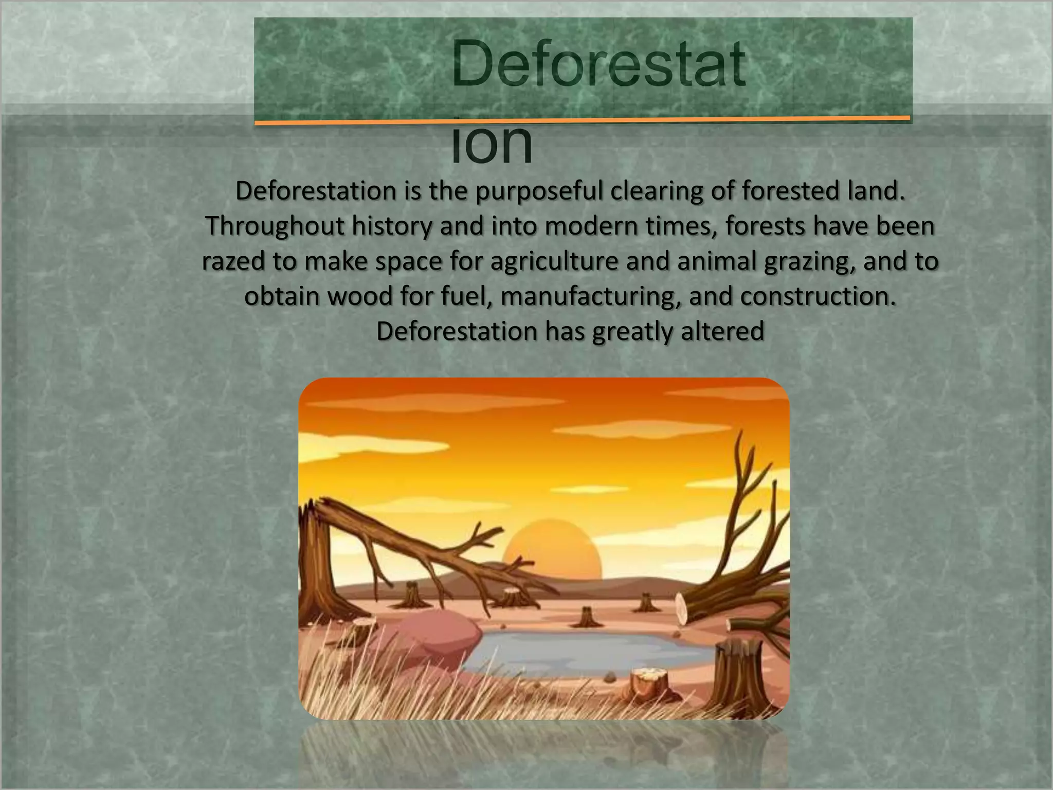 Advance Presentation On Forest Our Life Line | PPTX