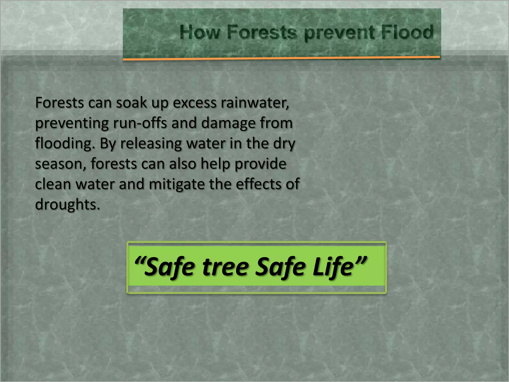 Advance Presentation On Forest Our Life Line | PPTX