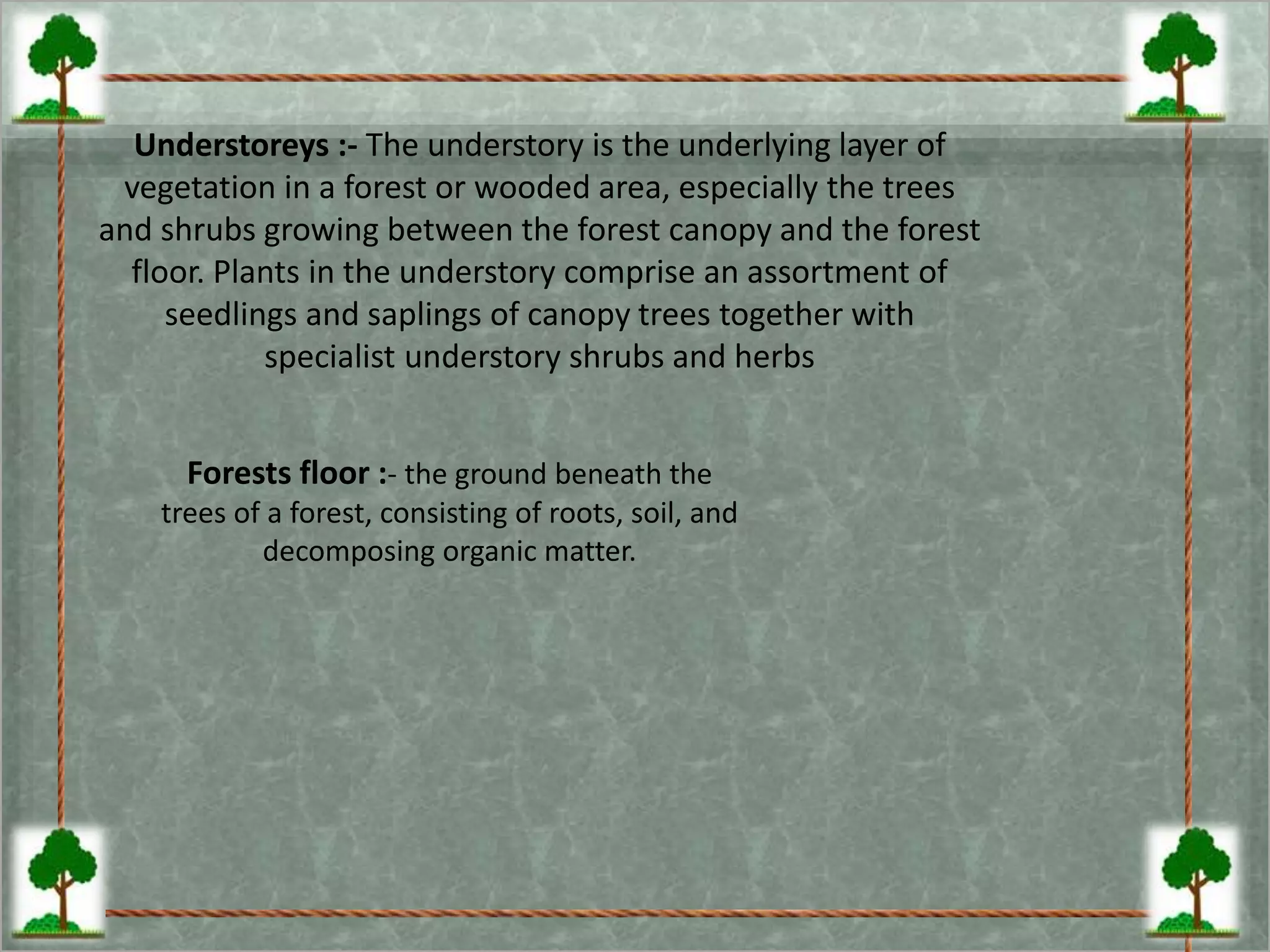 Advance Presentation On Forest Our Life Line | PPTX