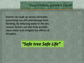 Advance Presentation On Forest Our Life Line | PPTX
