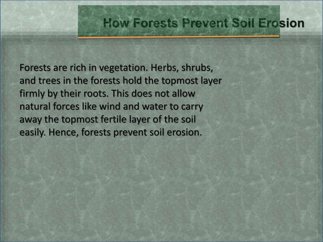 Advance Presentation On Forest Our Life Line | PPTX | Agriculture ...