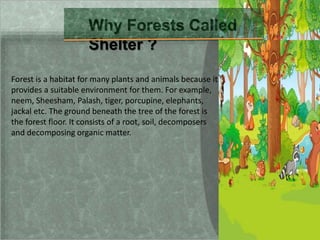 Advance Presentation On Forest Our Life Line | PPTX